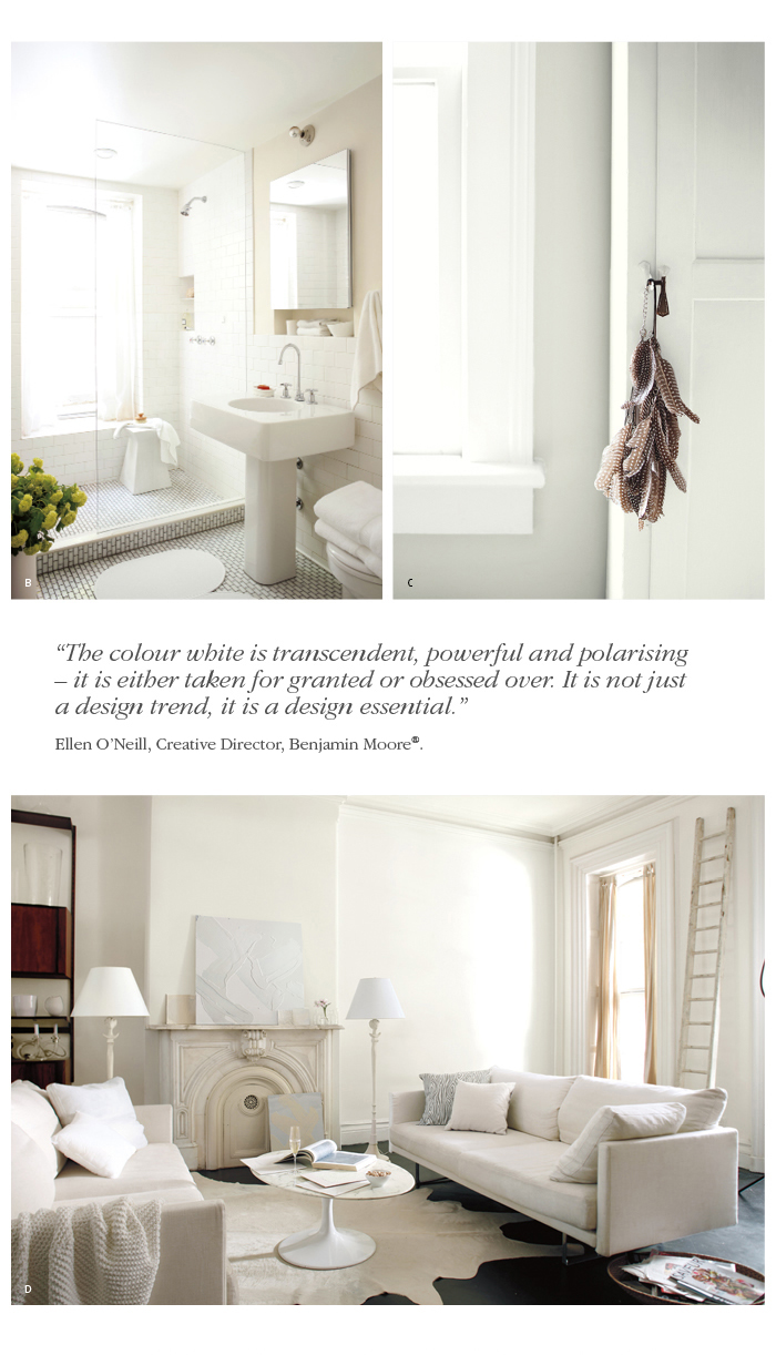 PRESS RELEASE: Benjamin Moore® Colour Of The Year 2016